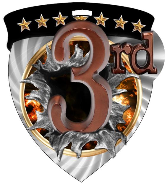 3rd Place Color Shield Medal - Medals Award