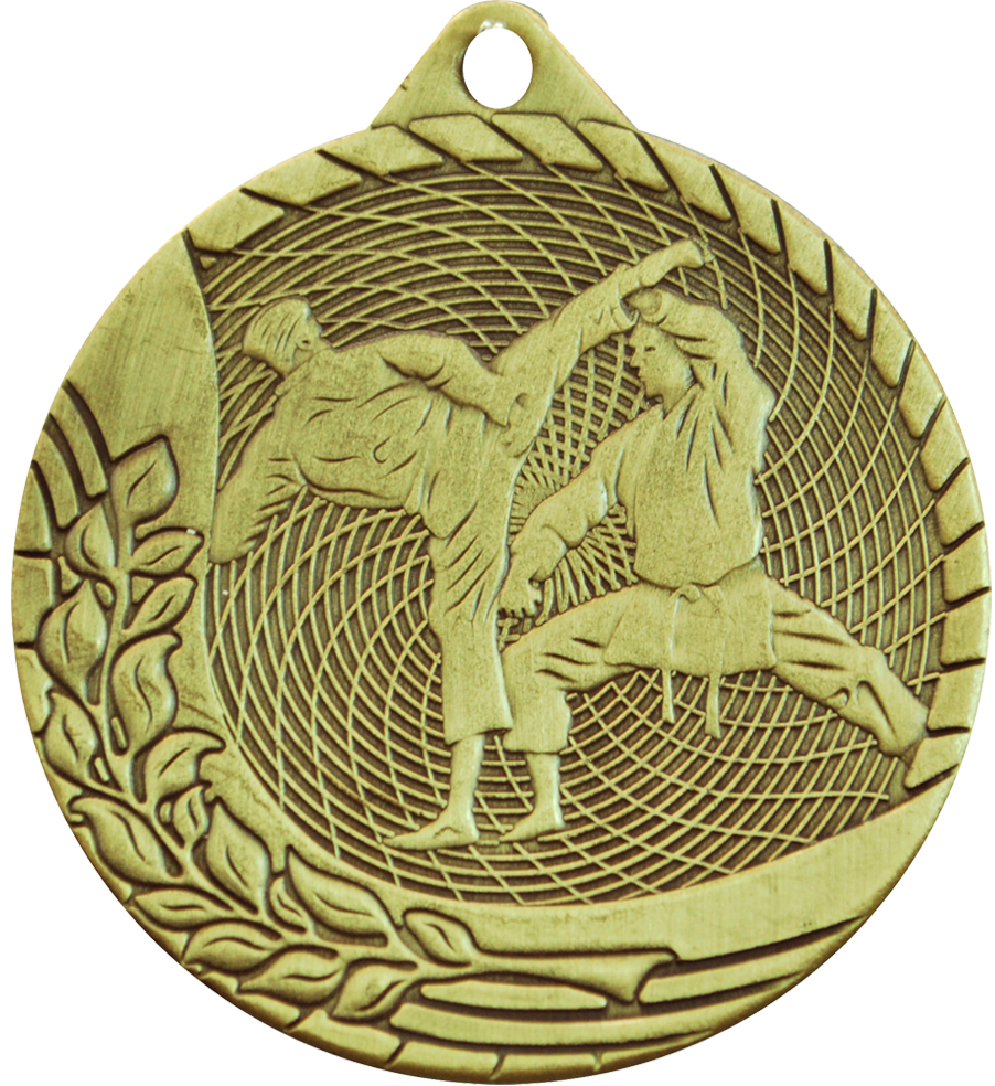 Budget Karate Medal - Medals Award