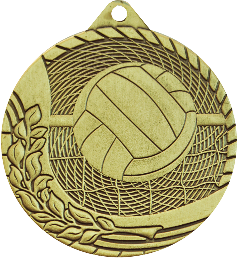 Budget Volleyball Medal - Medals Award
