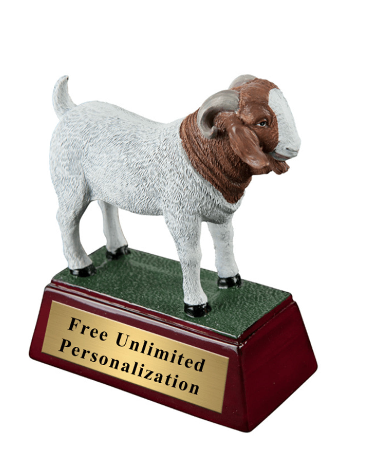 The GOAT Trophy - Medals Award