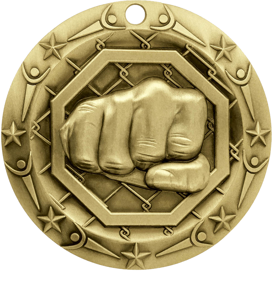 World Class MMA Medal - Medals Award